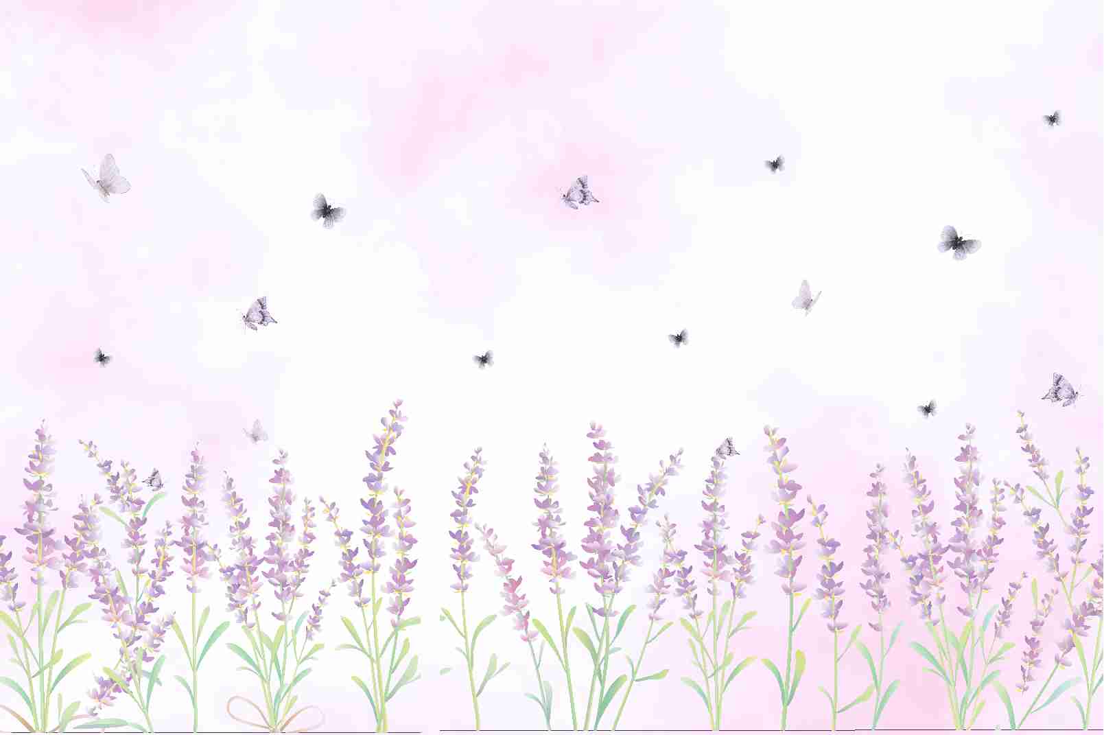 Papel De Parede De Fundo Campo De Lilases Fotos Lilas Serenidade